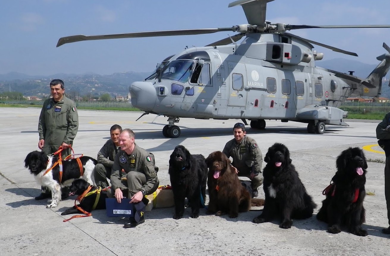 Las mejores razas de perros para búsqueda y rescate - RedCanina.es