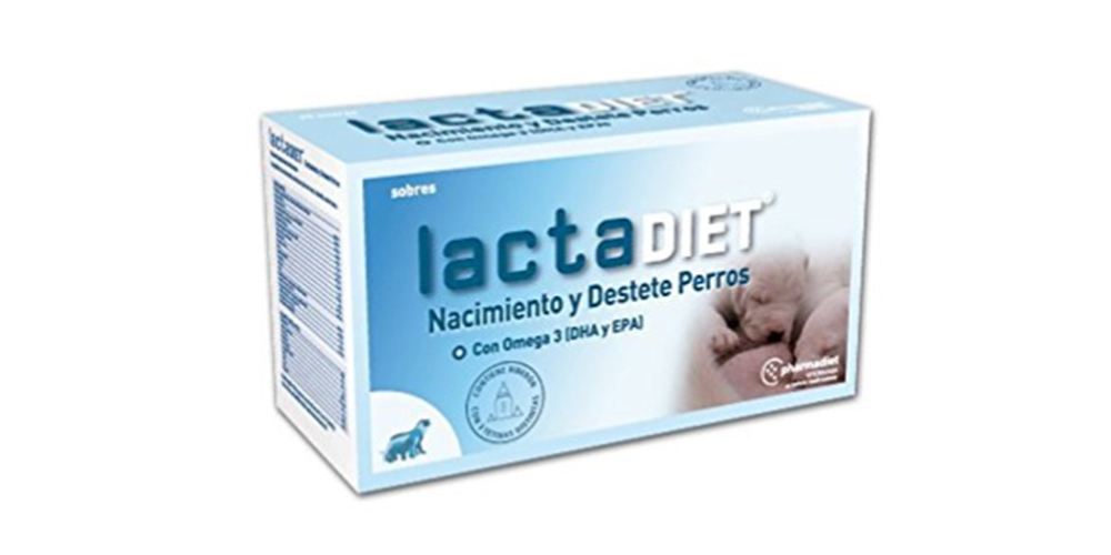 Cómo alimentar a un cachorro recién nacido - RedCanina.es