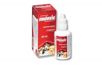 Antiinflamatorios para perros. ¿Son seguros? ¿Son efectivos? - RedCanina.es
