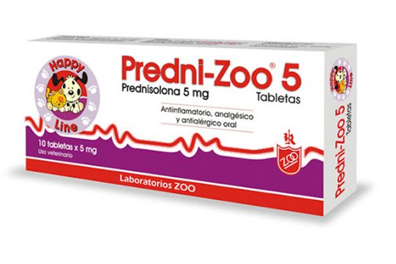 Antiinflamatorios para perros. ¿Son seguros? ¿Son efectivos? - RedCanina.es