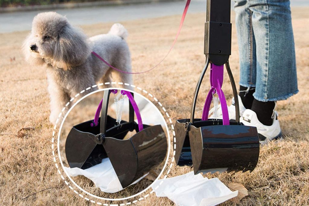 ¿Qué Hacer Si Mi PERRO Come CACA? Cómo evitarlo y qué problemas tiene