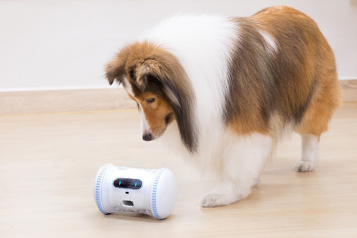 Top 18 JUGUETES INTERACTIVOS para perros ¡que te sorprenderán!