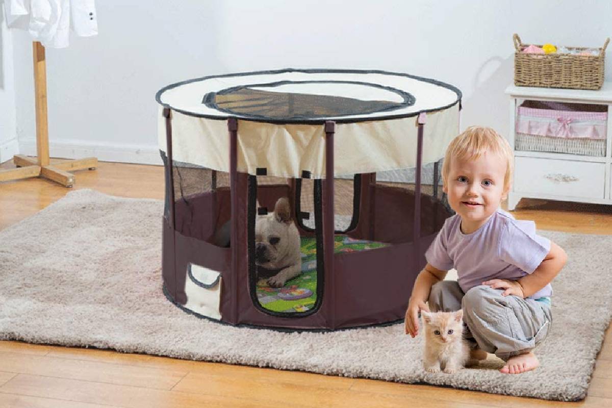 Los Mejores PARQUES PLEGABLES para Perros 【 Desde 23