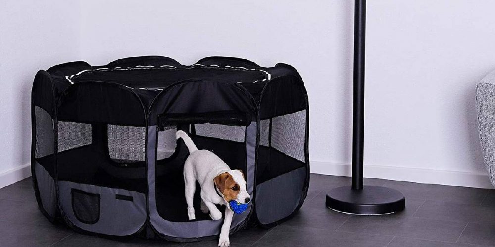 Mejores PARQUES PLEGABLES para CACHORROS - 【 Desde 19€