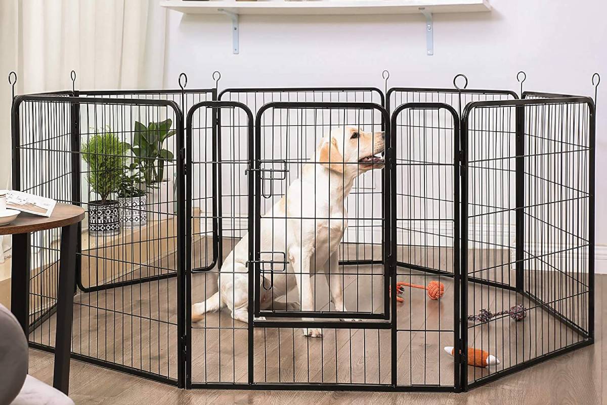 Mejores PARQUES PLEGABLES para CACHORROS - 【 Desde 19€