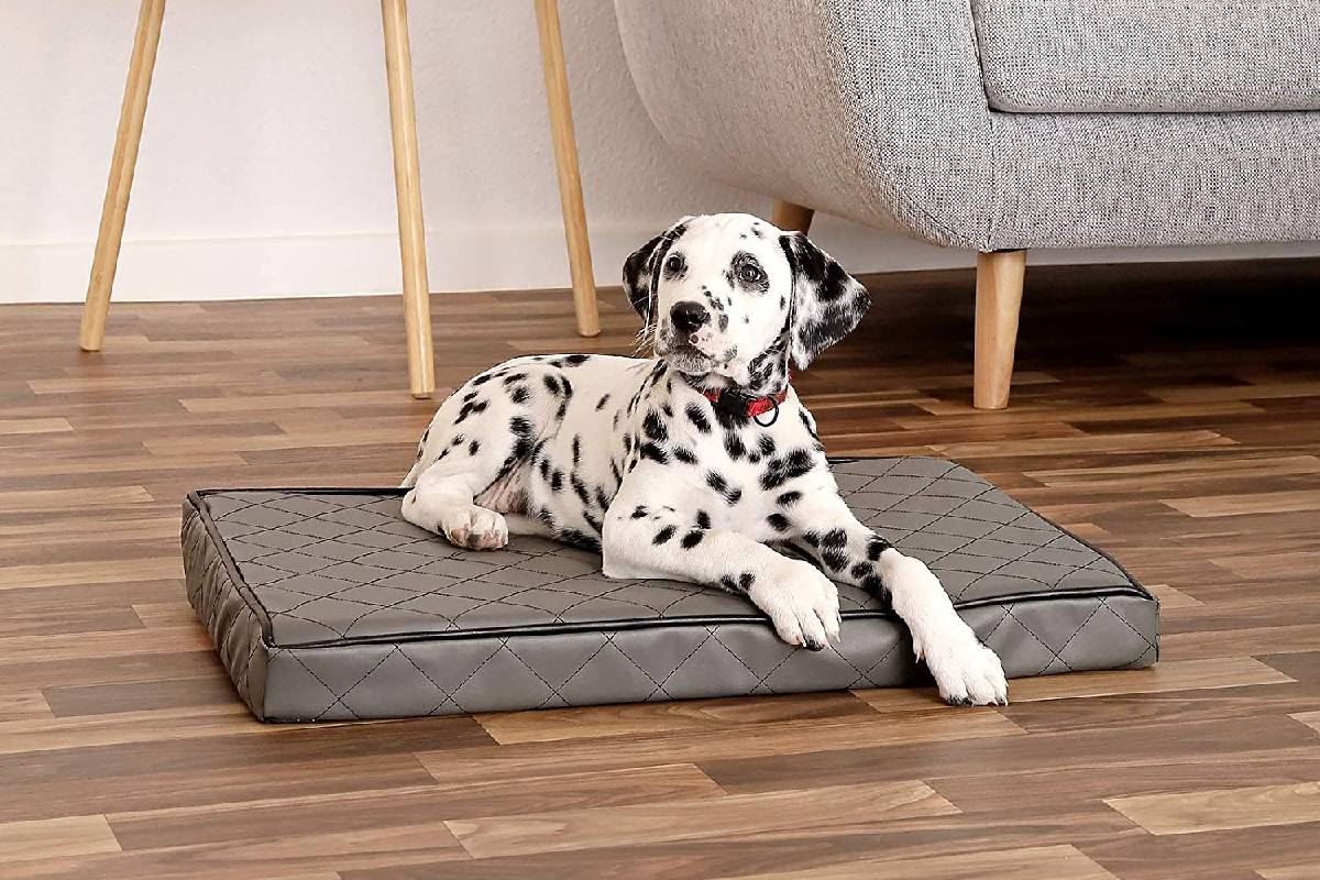 10 COLCHONES ORTOPÉDICOS y Viscoelásticos para PERROS (desde 30€)