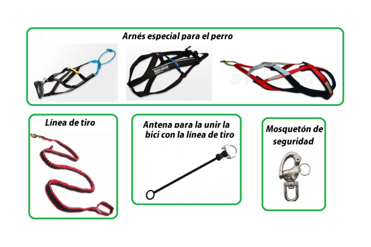 Bikejoring con tu perro: Descubre todo lo que necesitas para practicarlo