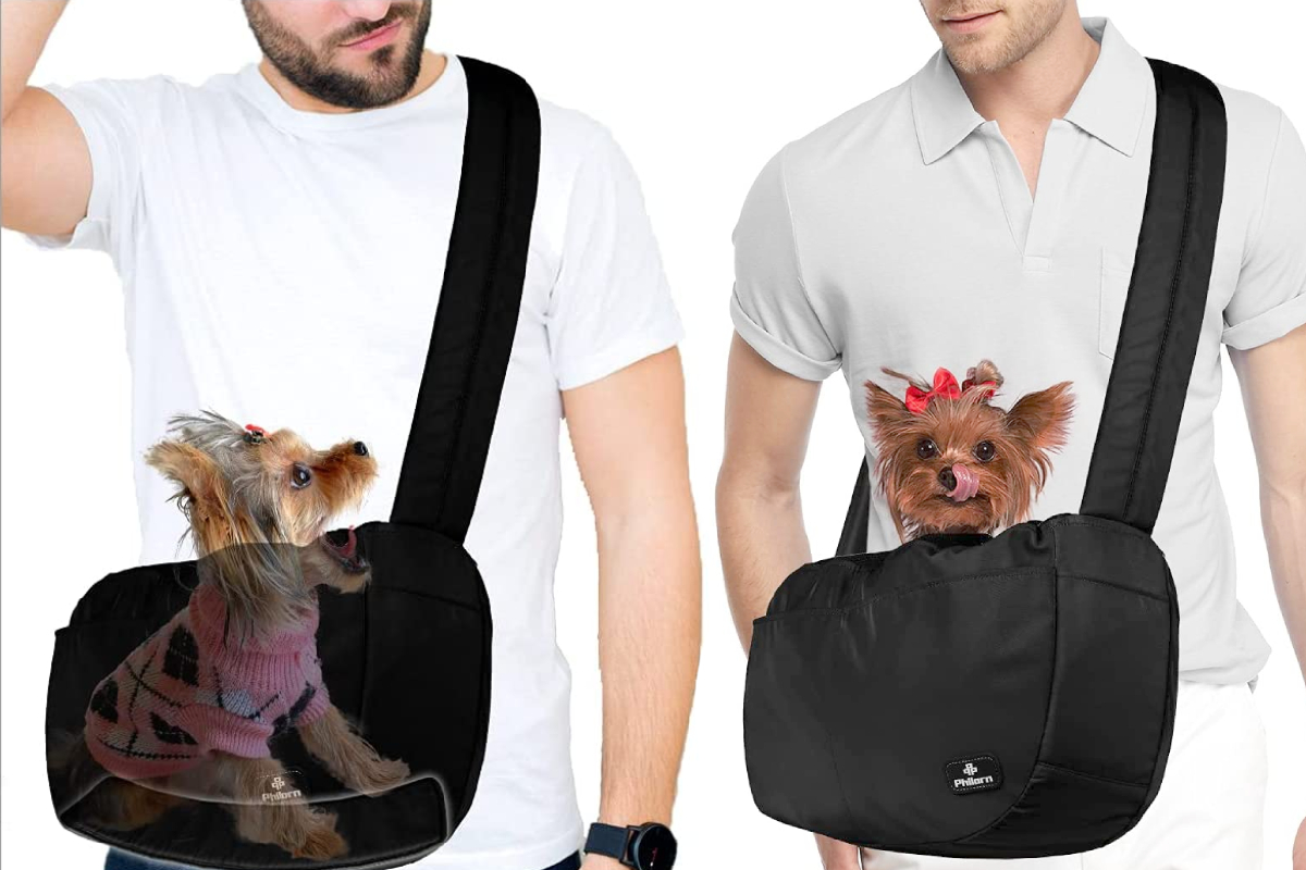 Mejores BOLSOS para PERROS pequeños ¡Llévalo siempre contigo!