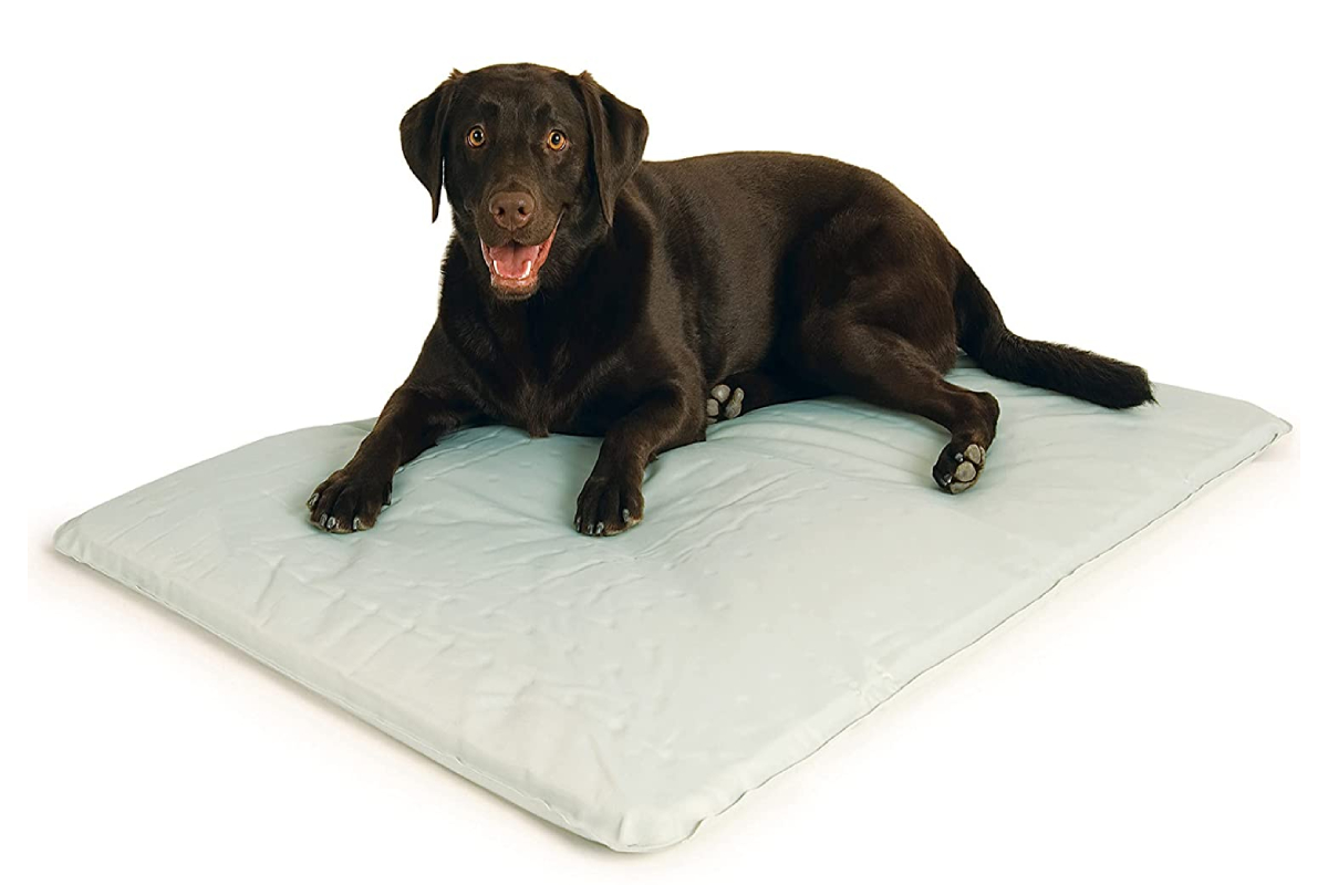 Mejores MANTAS FRÍAS para perros【 Análisis y guía de compra