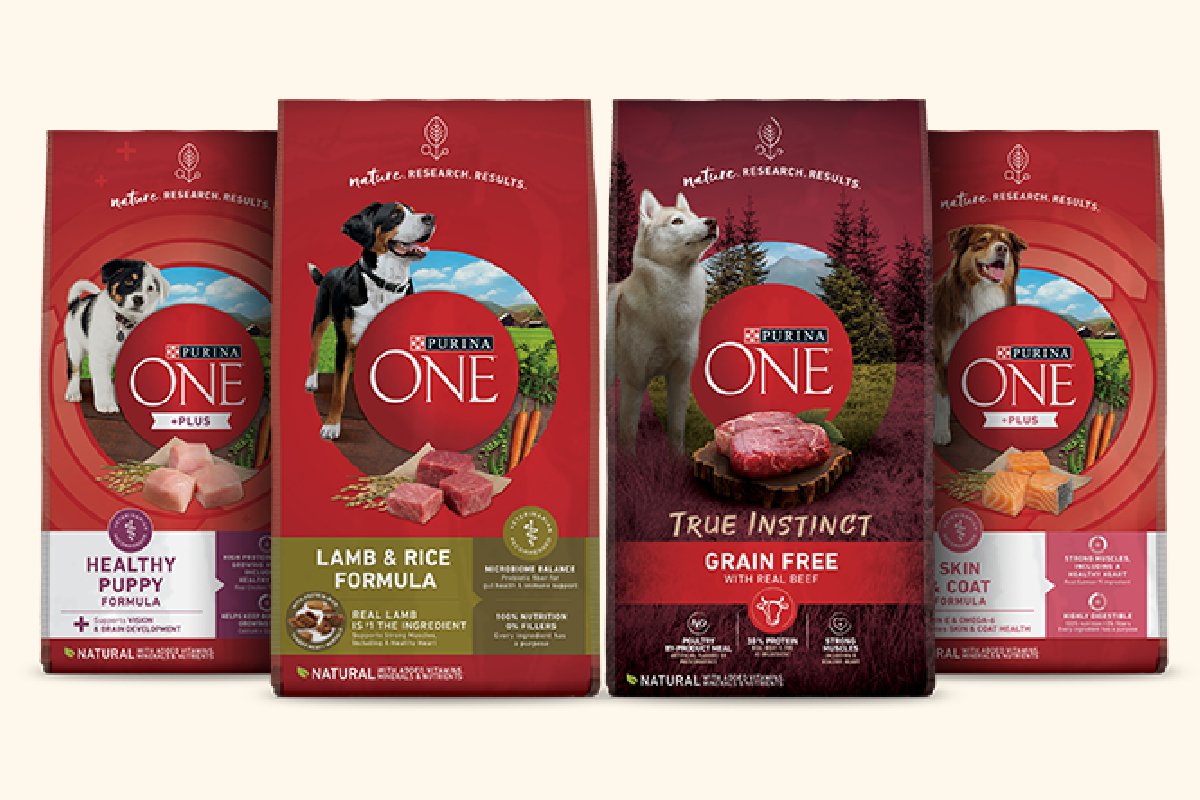 Mejores PIENSOS de la marca PURINA 【 Guía Completa