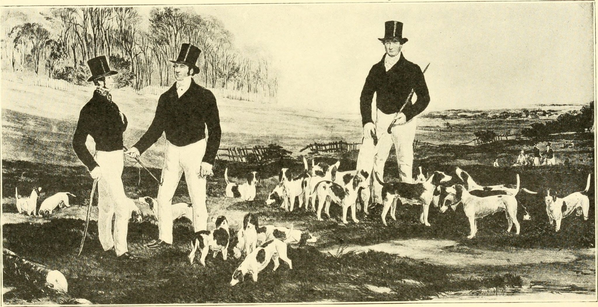 Todo sobre el Beagle: cría, cuidado y adiestramiento